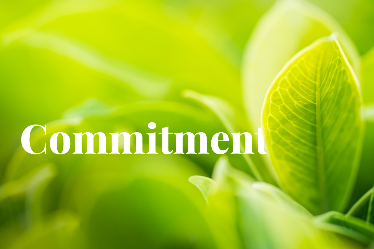 Understanding corporate commitments to nature: A review of Global 500 companies